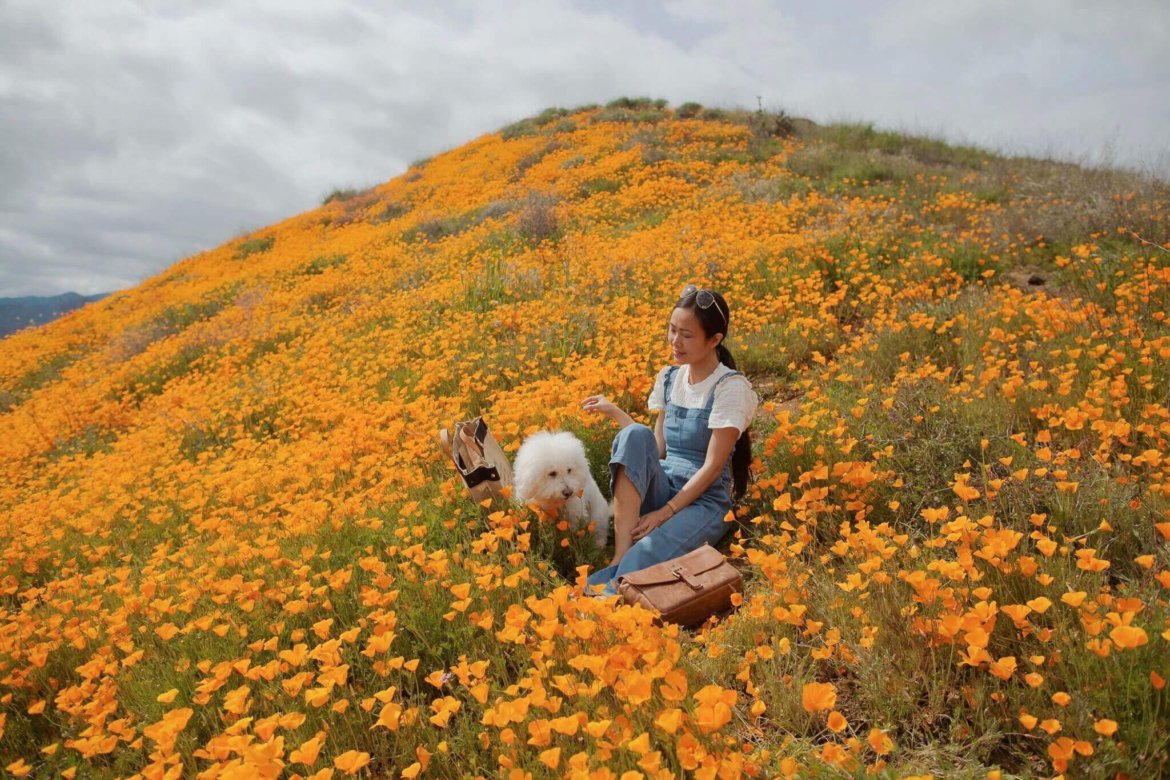 Where to See Stunning Spring Bloom in LA - inAra By May Pham