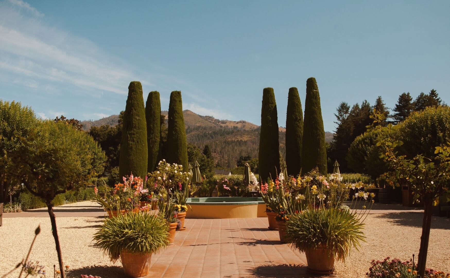 Visit Beautiful Landmark Vineyards in Sonoma Valley - inAra By May Pham