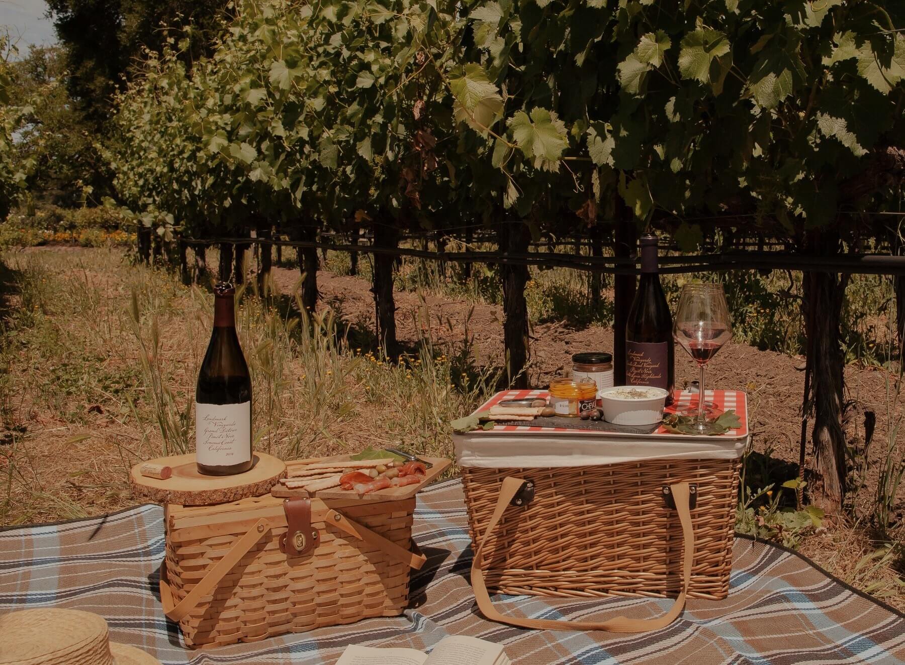 Visit Beautiful Landmark Vineyards in Sonoma Valley - inAra By May Pham